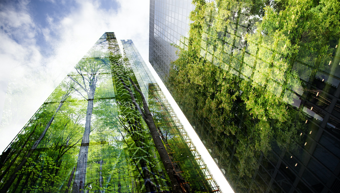 What is natural capital and why companies need to take interest in it?