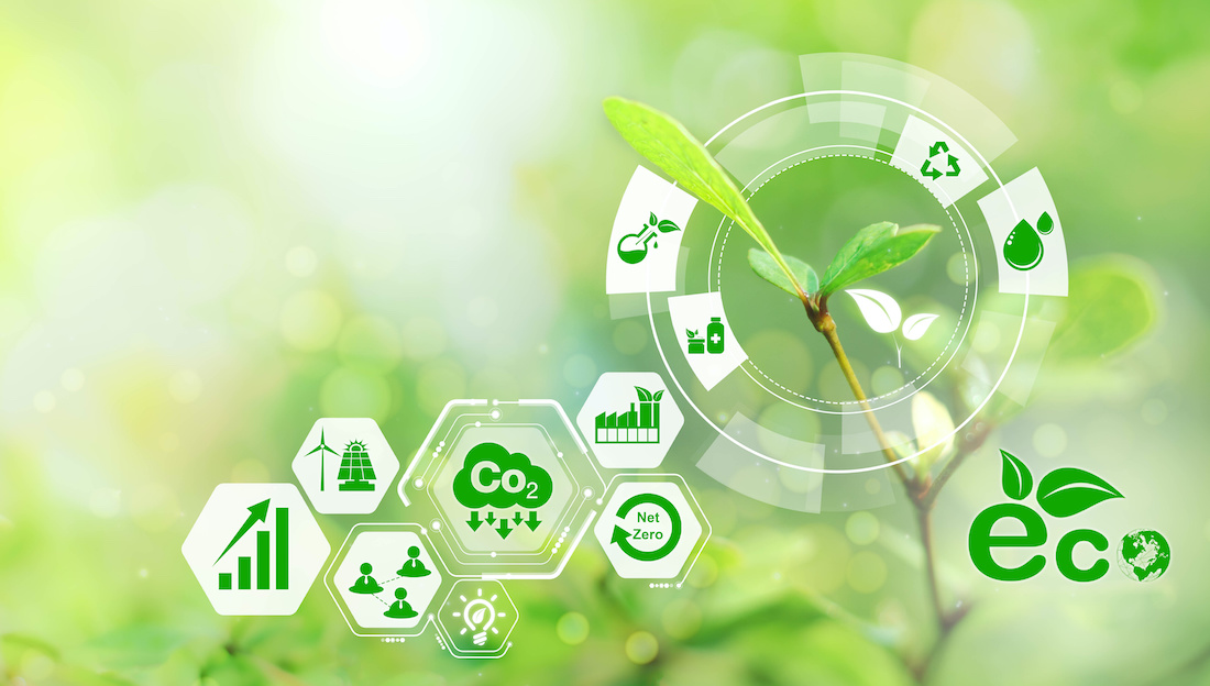 Big data and the future of ecology: Supporting circular economy