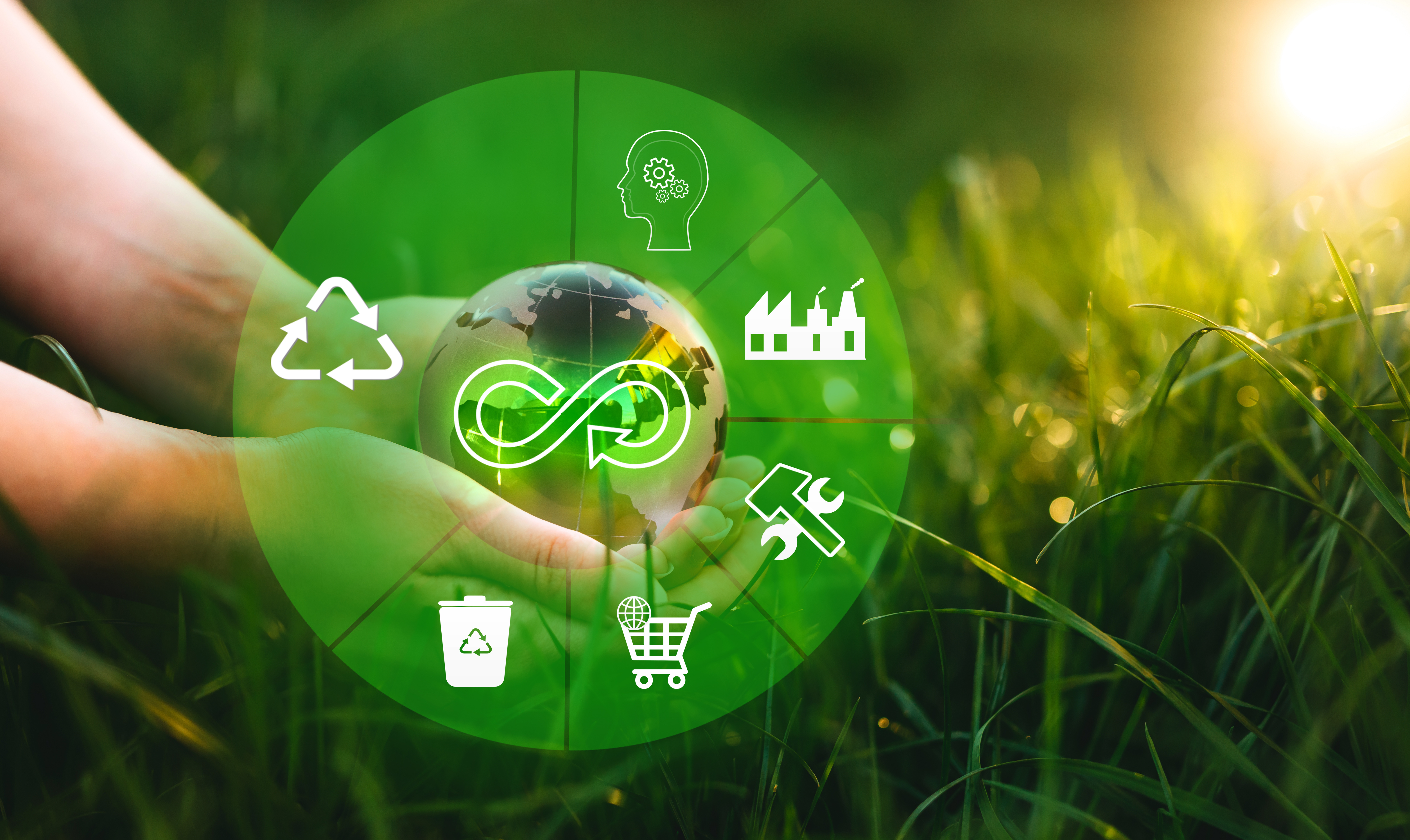 What are the 7 pillars of circular economy